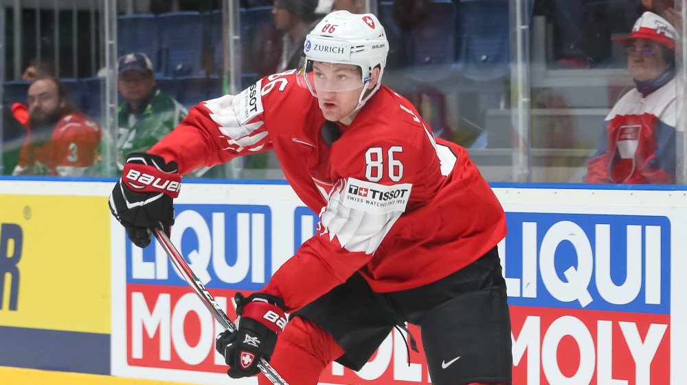 IIHF - Tournament over for Moser