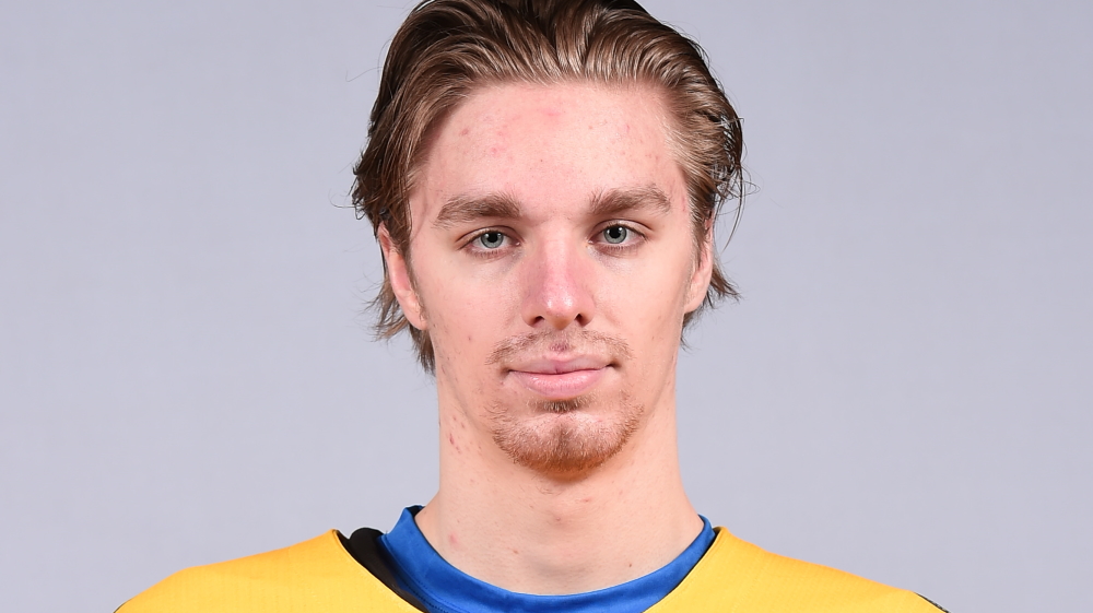 IIHF - Loof suspended