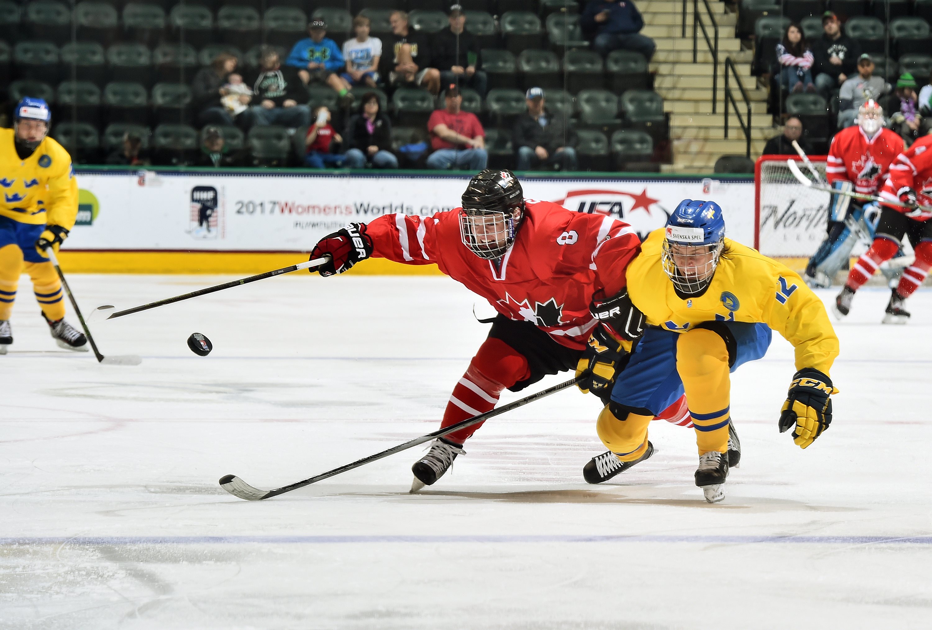 IIHF - How ‘bout Bratt